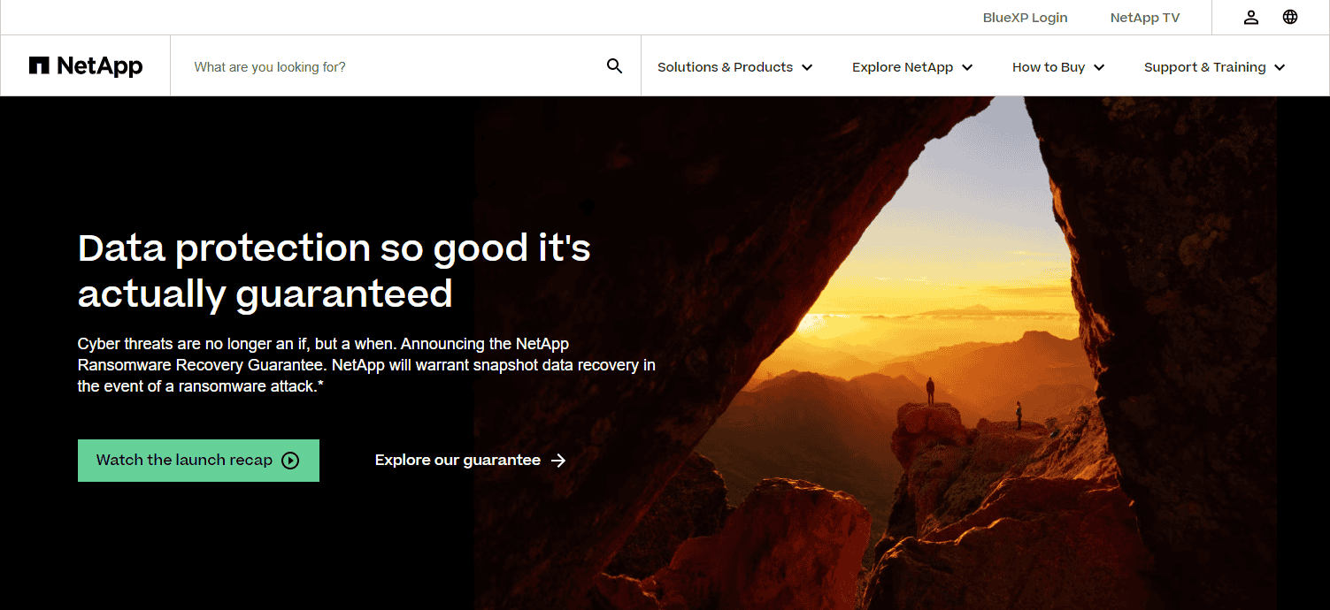 Top 20 On-Premises IT Services Companies - TheCconnects
